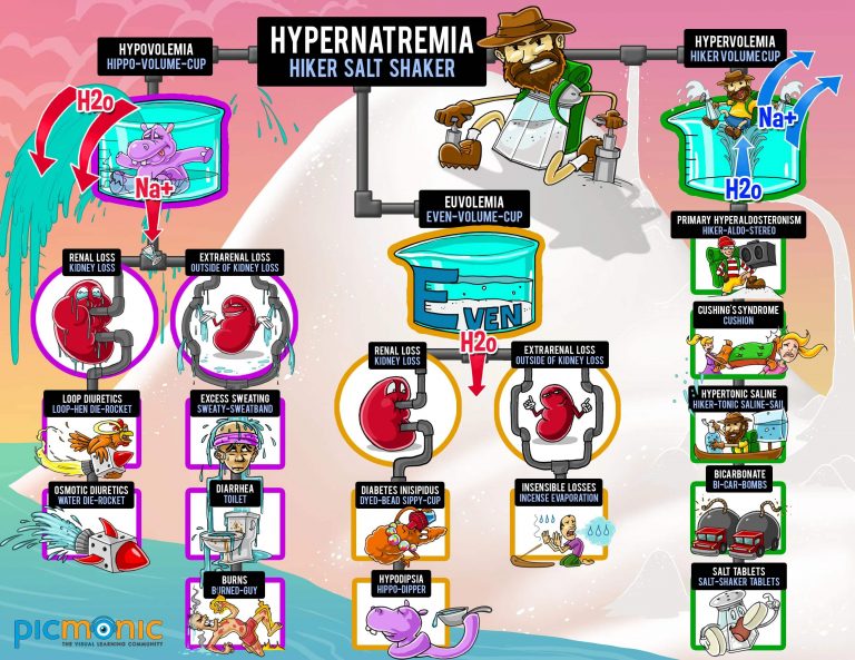 Electrolyte Disorders - Picmonic