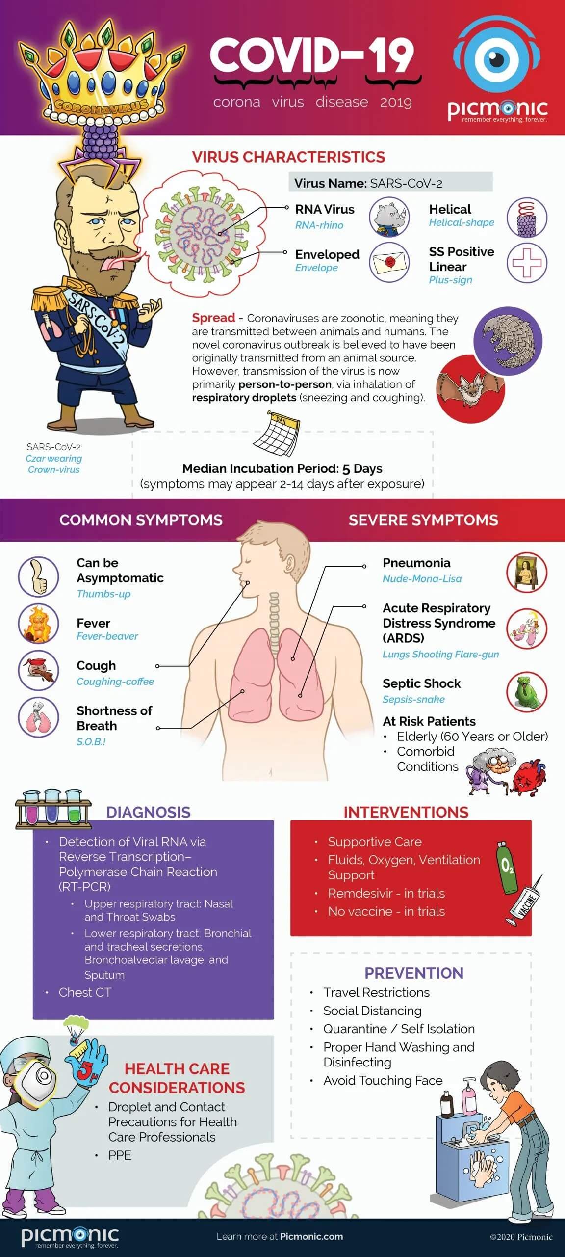 [Infographic] How to Study: COVID-19 | Picmonic