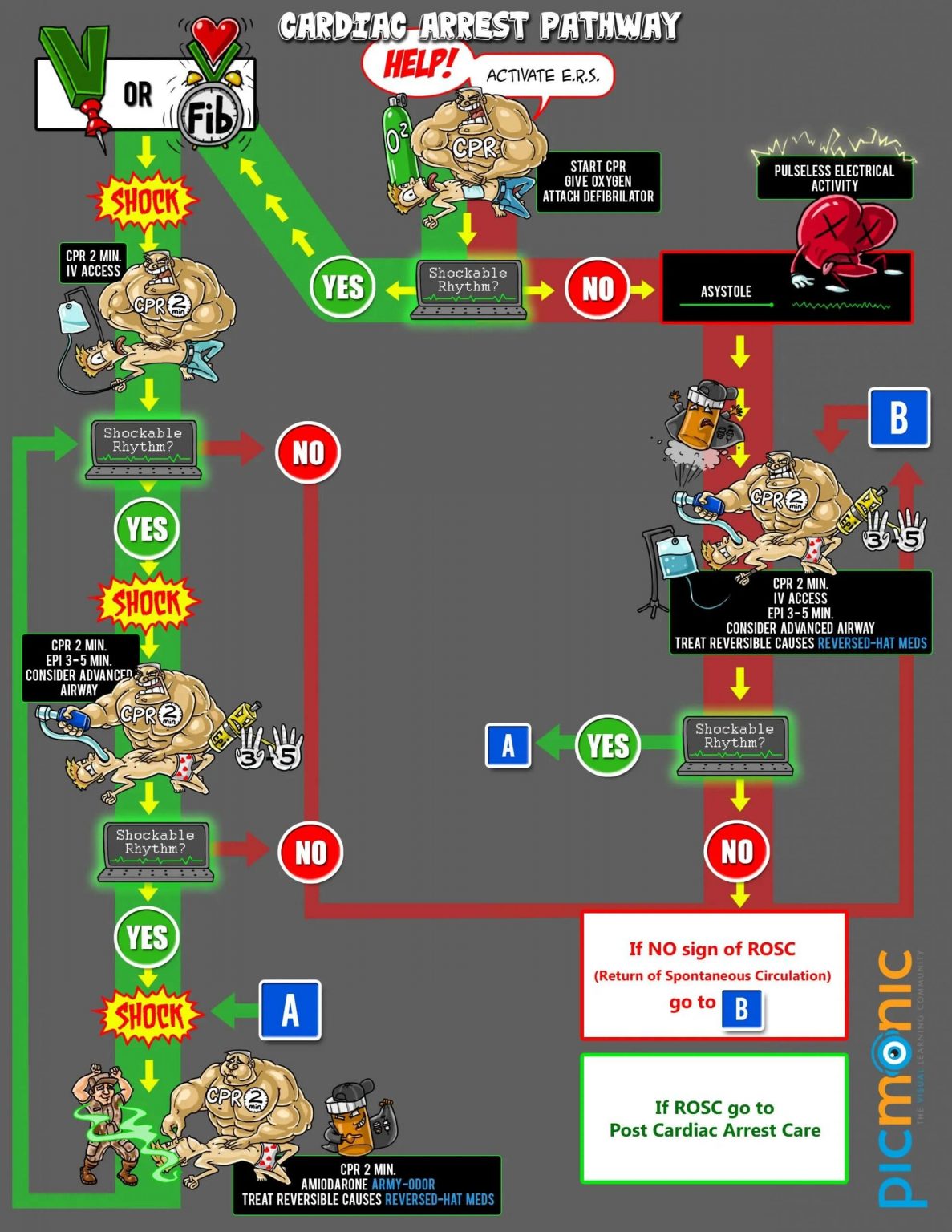 [Infographic] How to Study: ACLS Pathway | Picmonic