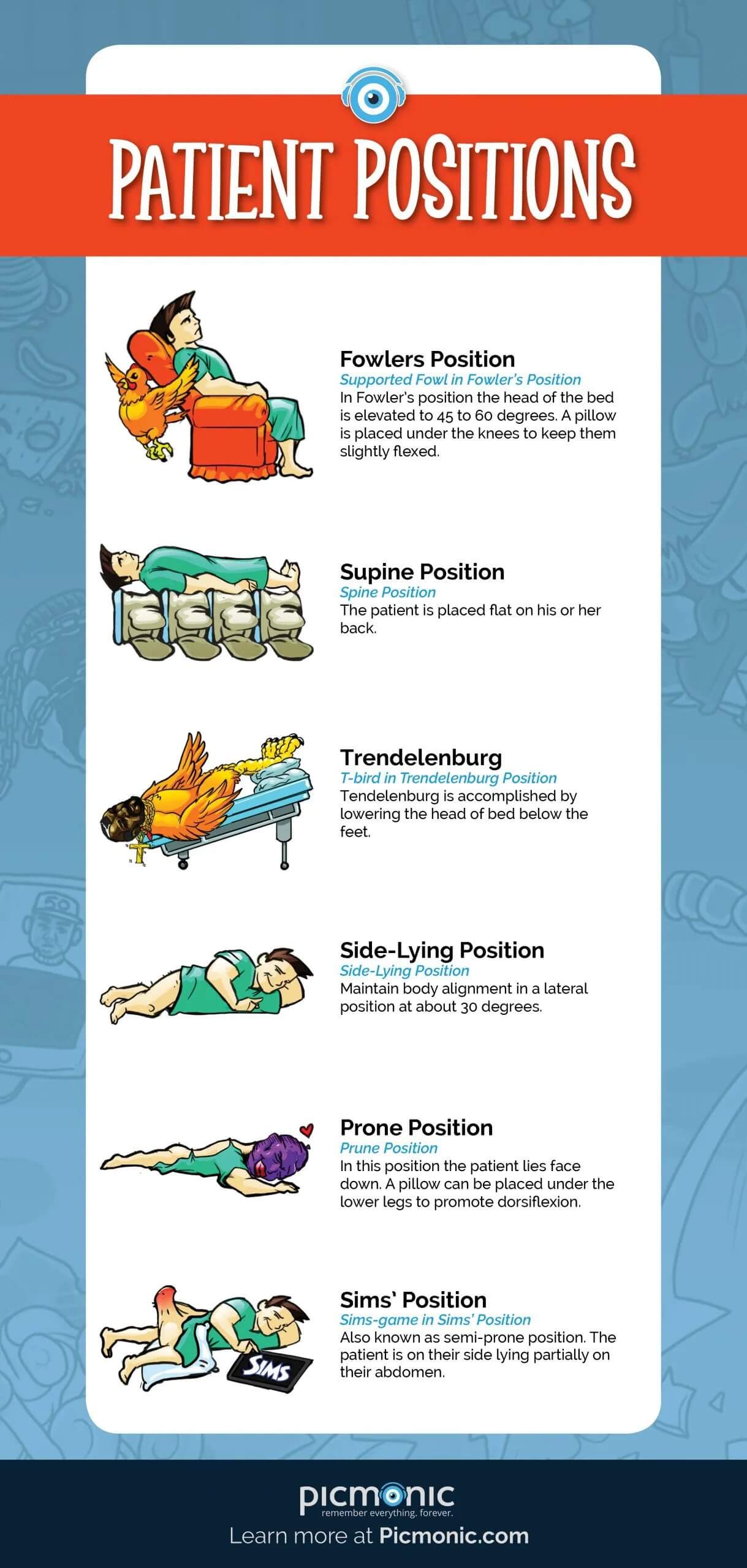 [Infographic] How to Study: Patient Positions | Picmonic