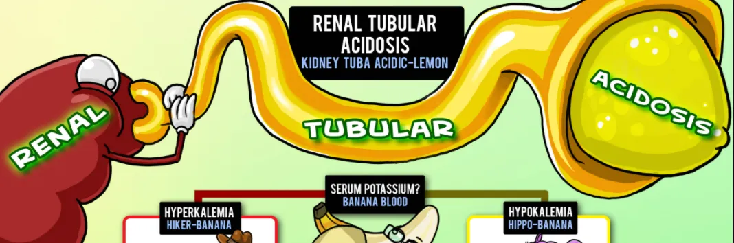 7 Common Mnemonics for Medical Students